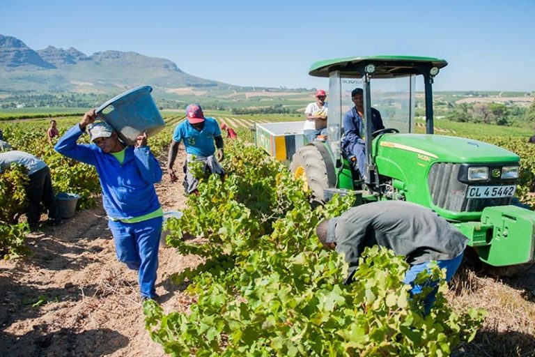 South Africa’s New Labour Migration Rules 2025
